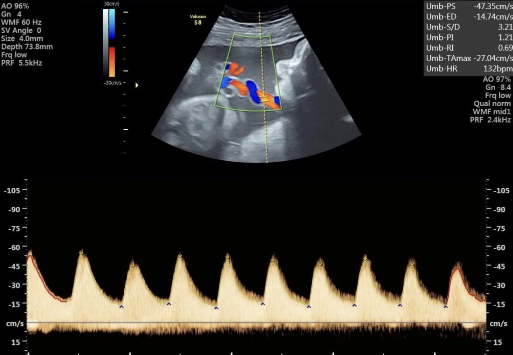 Rundumbaby | Frauenarzt München | Dr. med. Claudia Banafsche und Kollegen